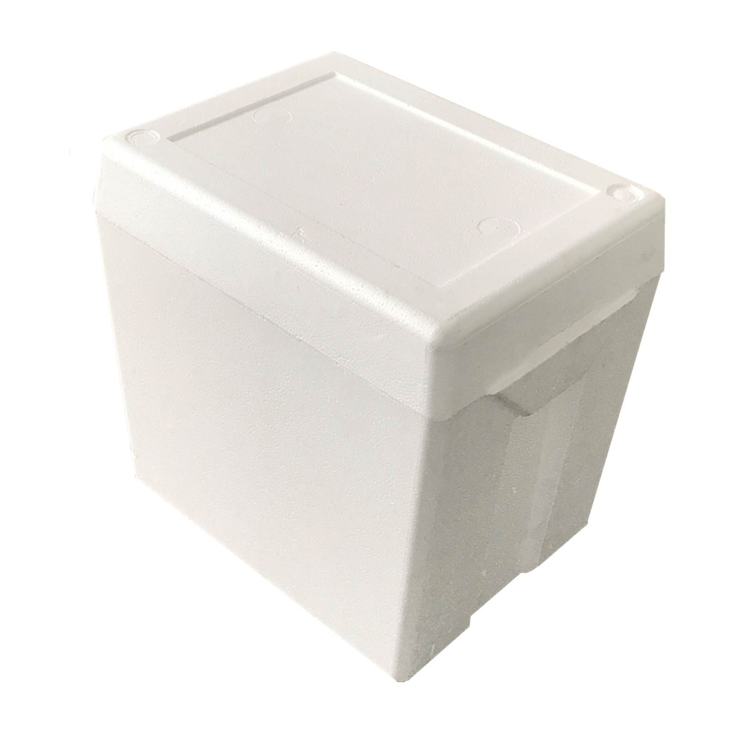 Nevera de foam (cooler) 21 litros | HOPSA Tienda Online