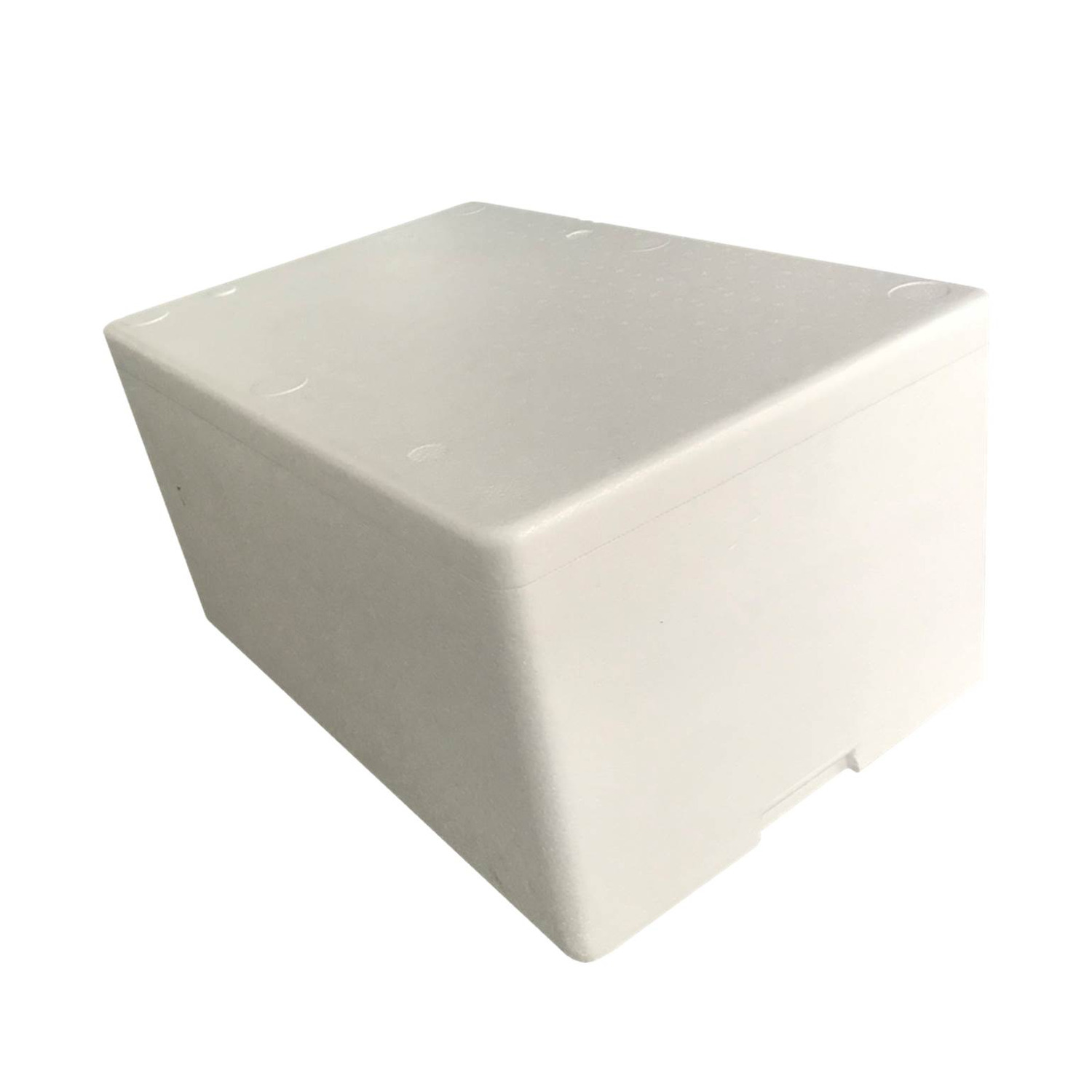 Nevera de foam (cooler) con tapa 55 litros | HOPSA Tienda Online